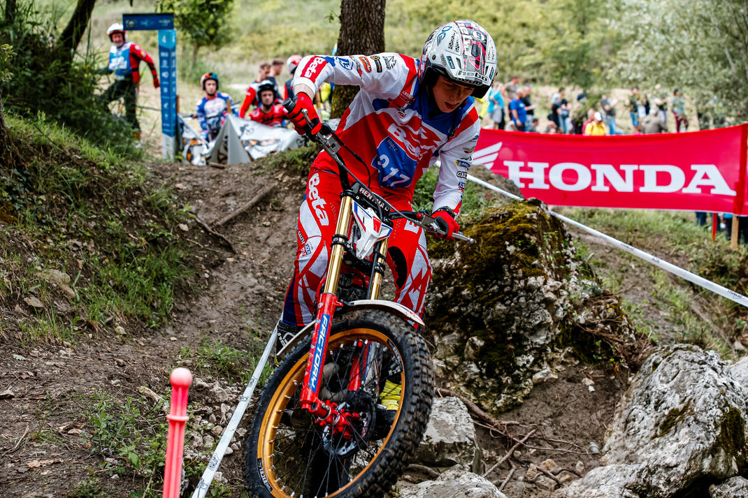 Harry Hemingway – Hebo